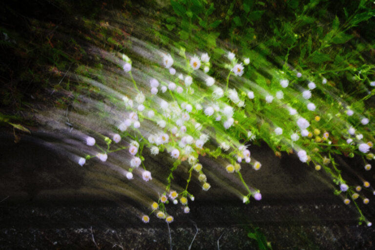 ICMという写真撮影IntentionalCameraMovement | ひさブロ