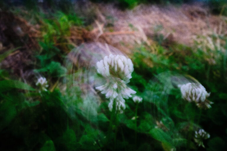 ICMという写真撮影IntentionalCameraMovement | ひさブロ